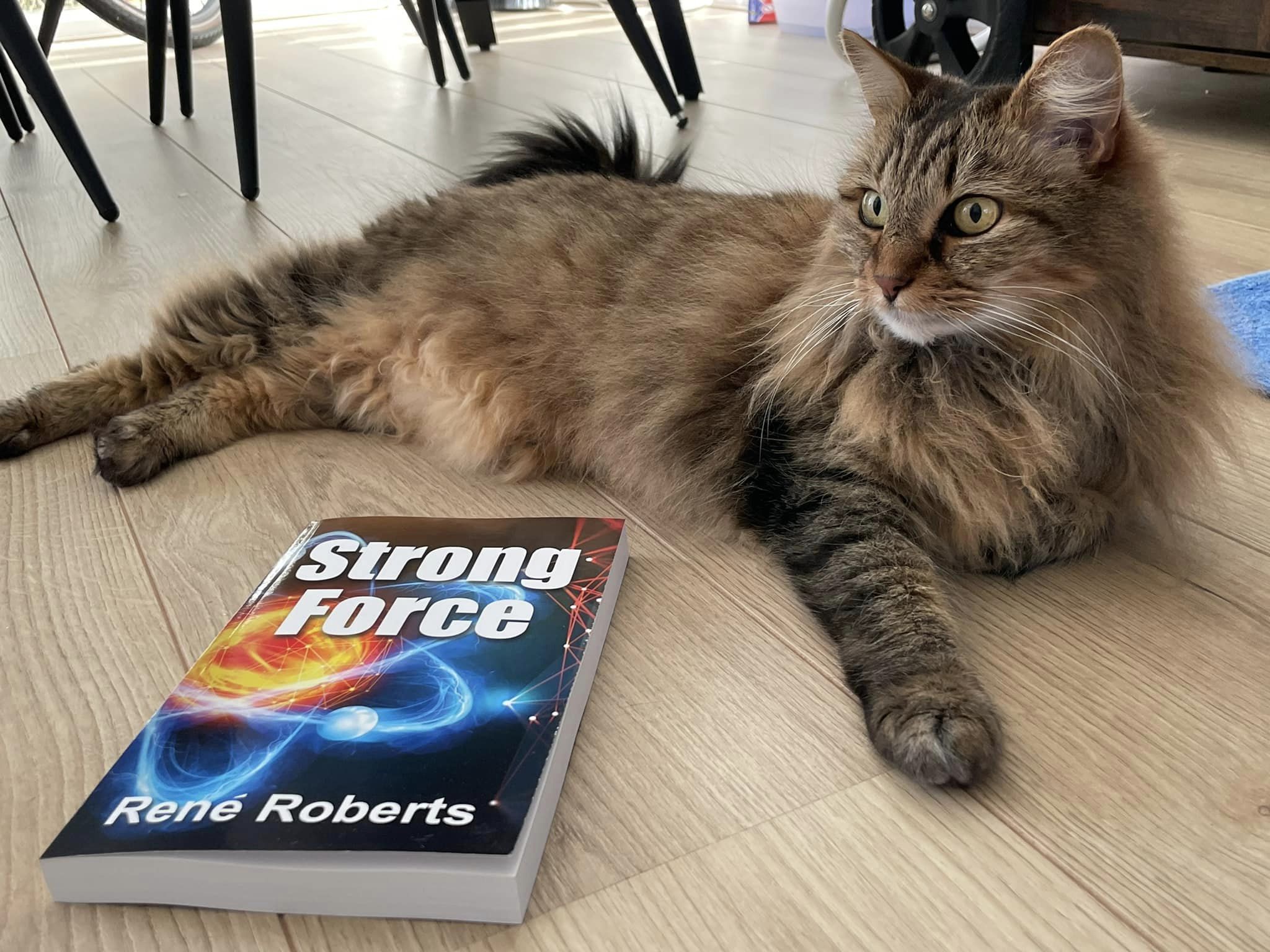 HOME – René Roberts